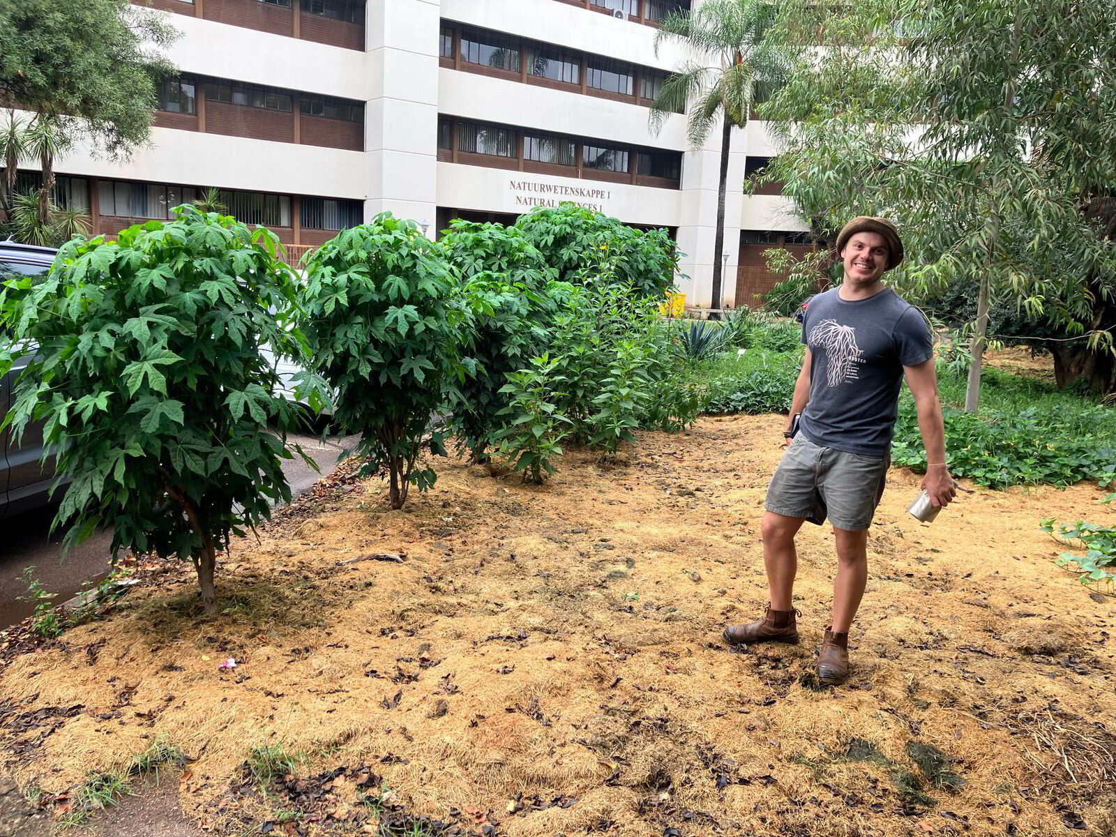 UP’s Giving Garden helps community about growing edible plants