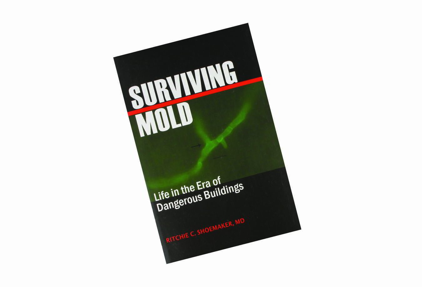 What book do you recommend on mold?