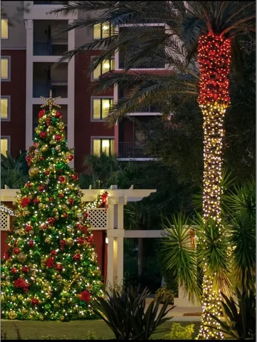 Commercial Christmas LED Lights - Jubilee Decor