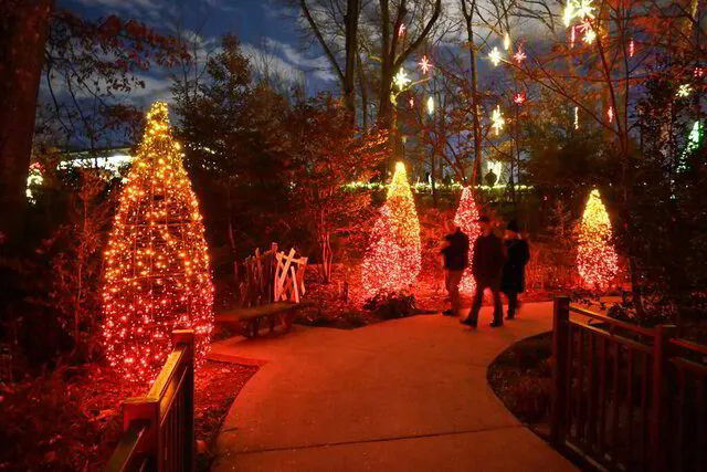 Commercial Christmas LED Lights - Jubilee Decor