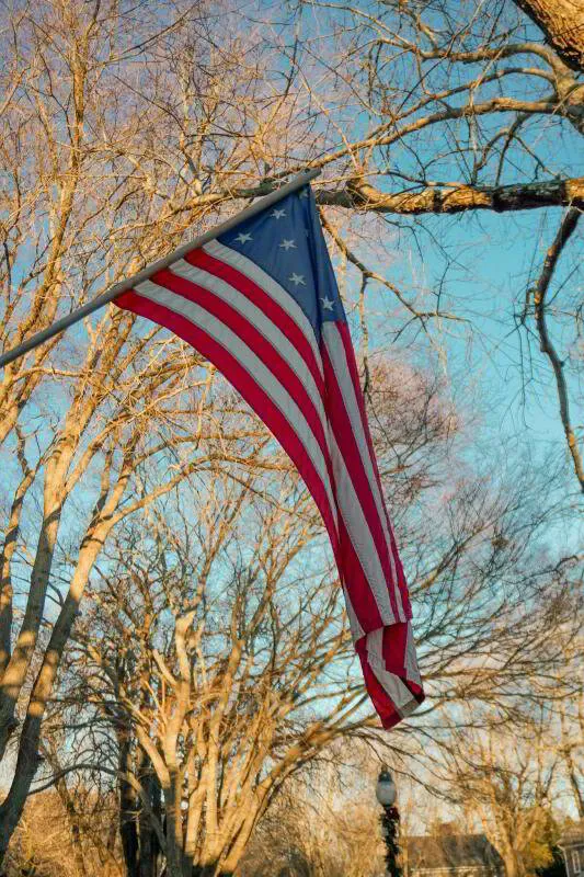 Historical Emblems for America's Semiquincentennial