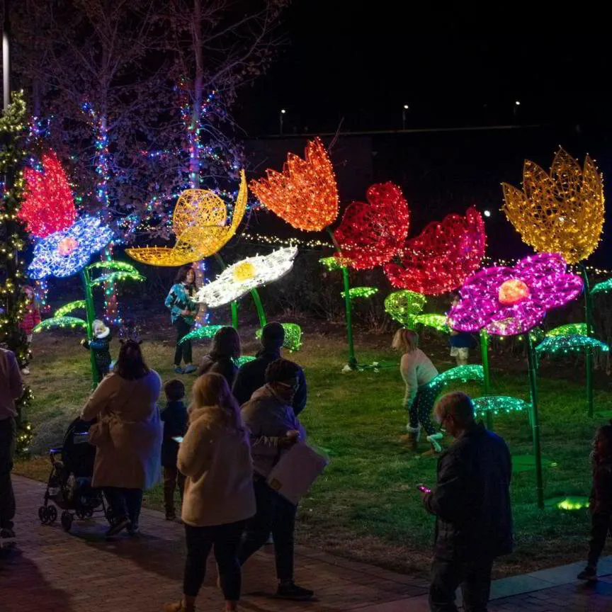 Incorporating Interactive Art Installations in Streetscapes