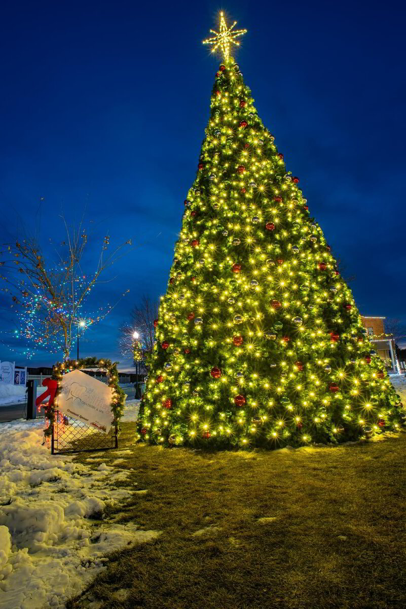 Discover the Magic of Jubilee Decor’s Commercial Christmas Trees
