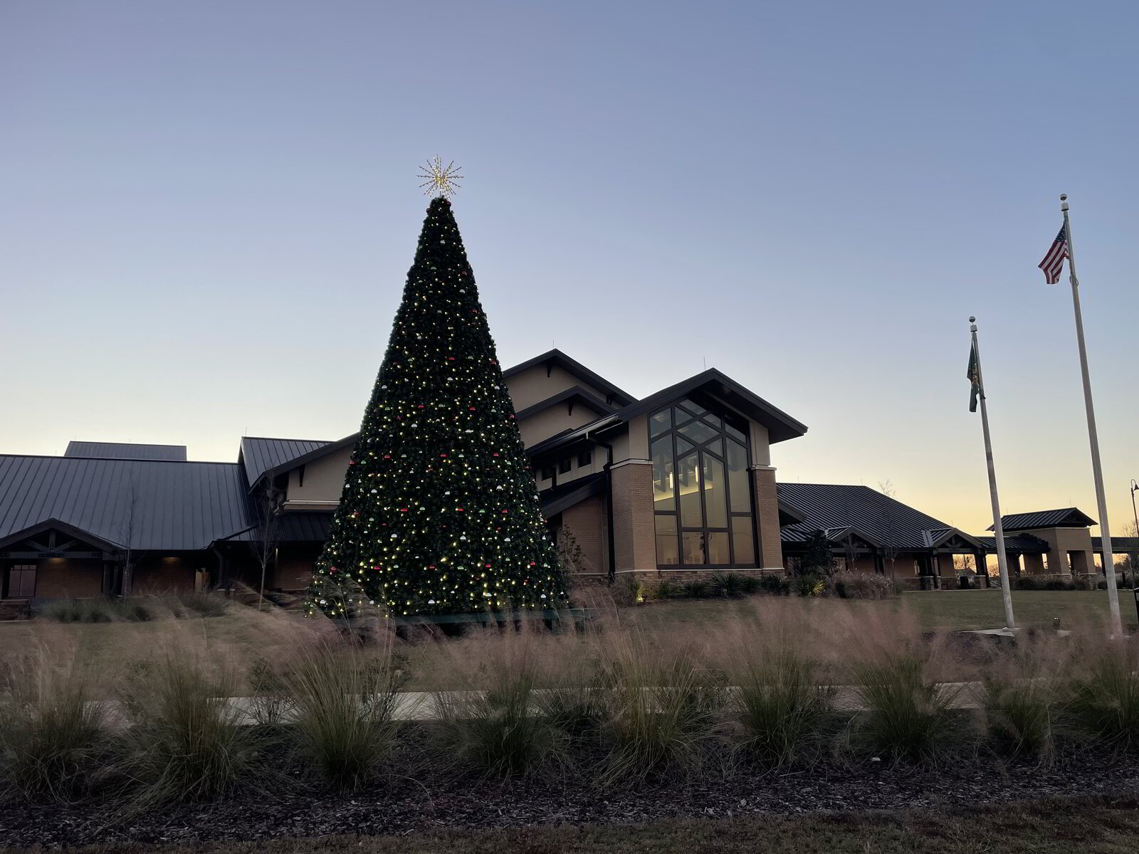 Extra-Large Outdoor Christmas Trees