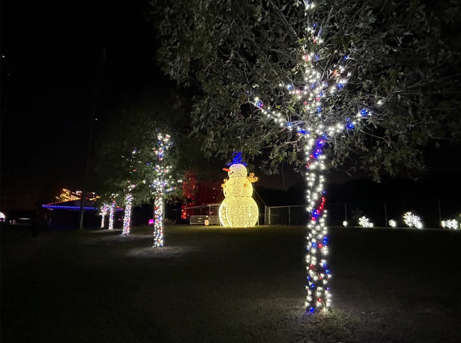 Commercial Christmas Lights for Illumination - Jubilee Decor