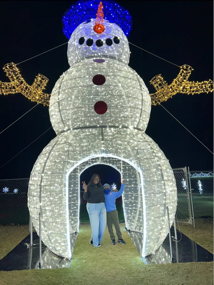 Commercial Christmas Lights for Illumination - Jubilee Decor