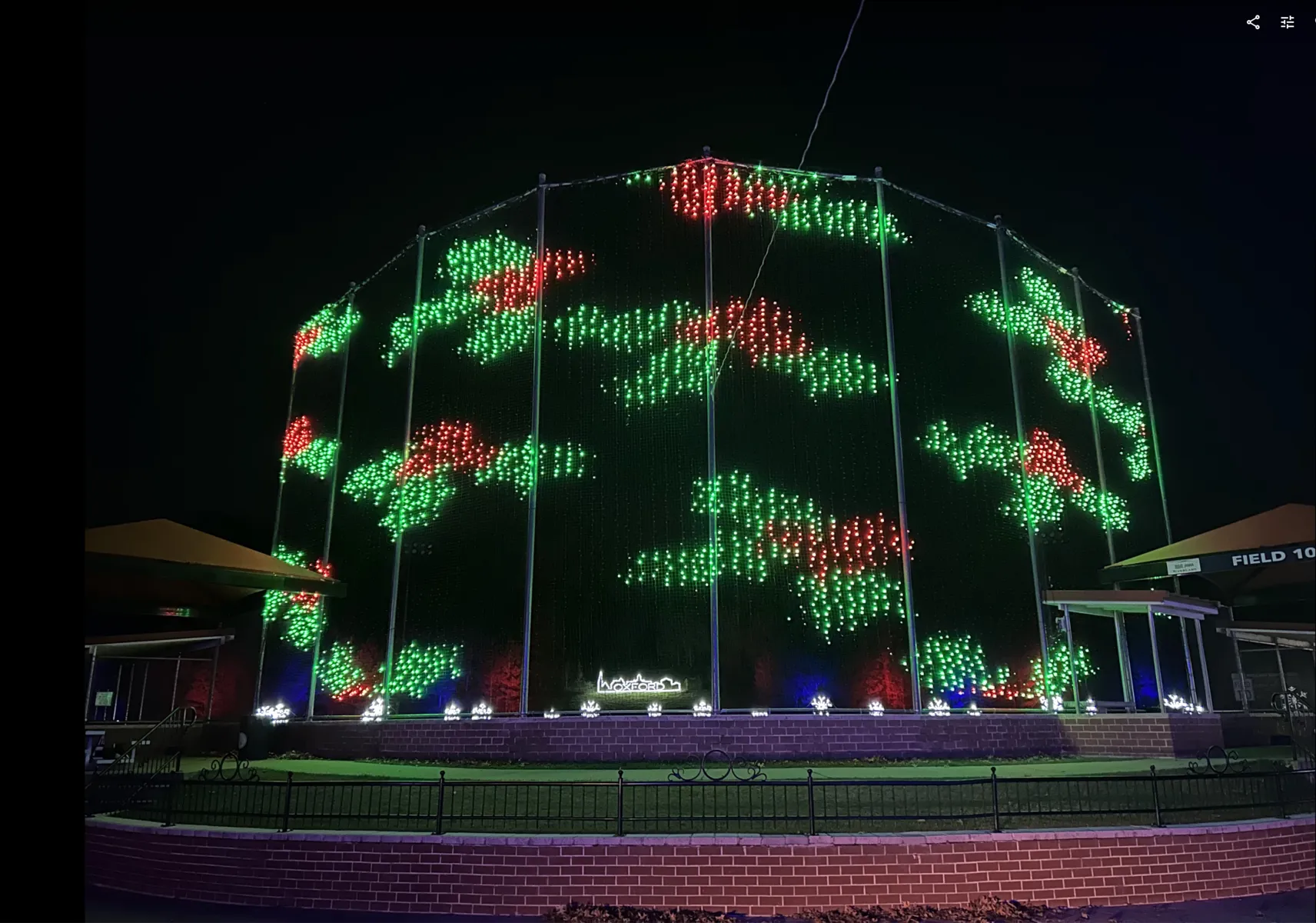 Commercial Christmas Lights for Illumination - Jubilee Decor