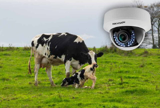 Home [crimeguard.ie]