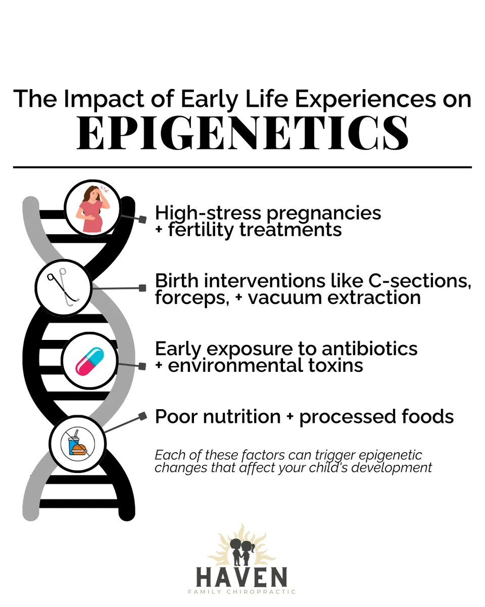 Epigenetics: How Early Life Experiences Shape Your Child’s Health and ...