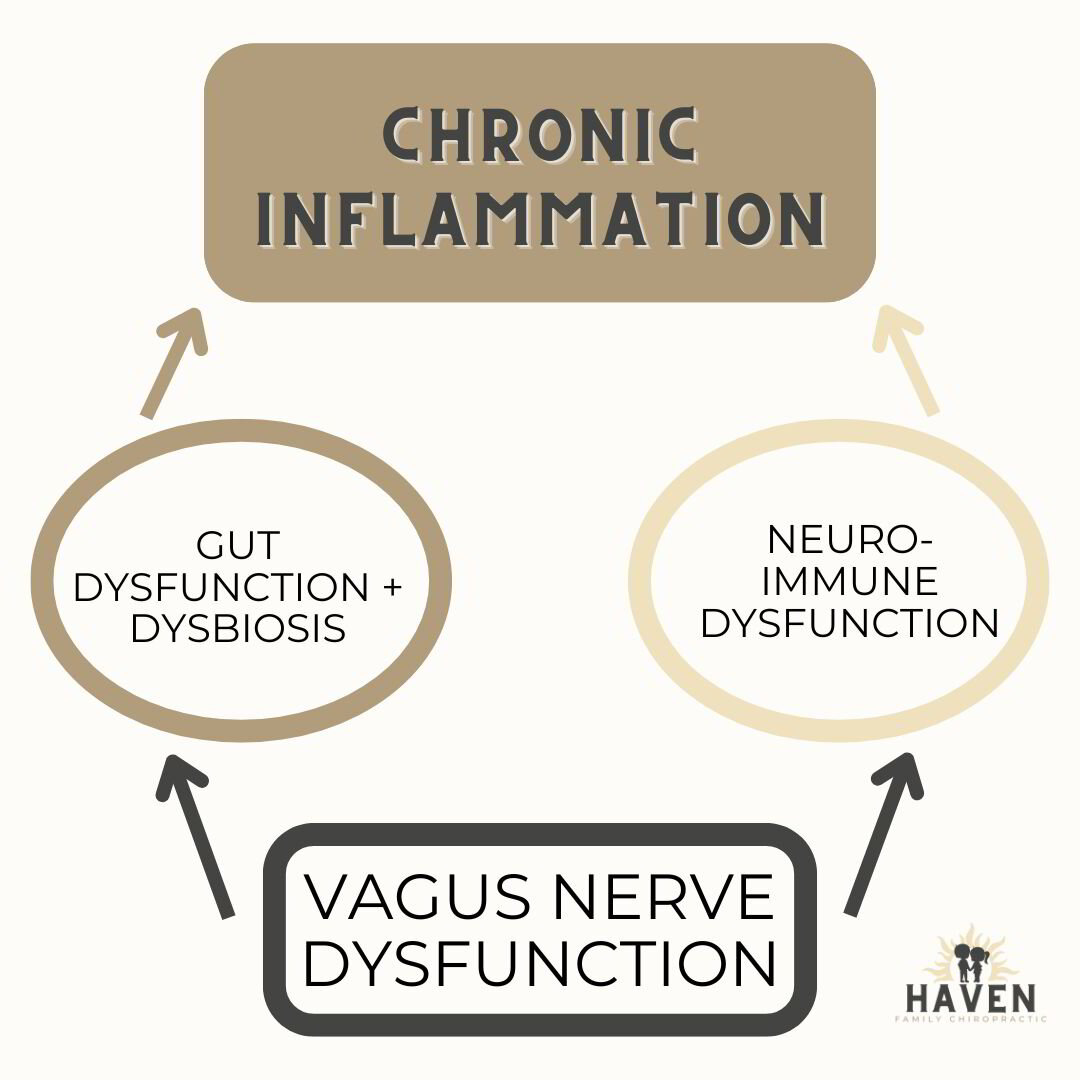 Vagus Nerve and Inflammation