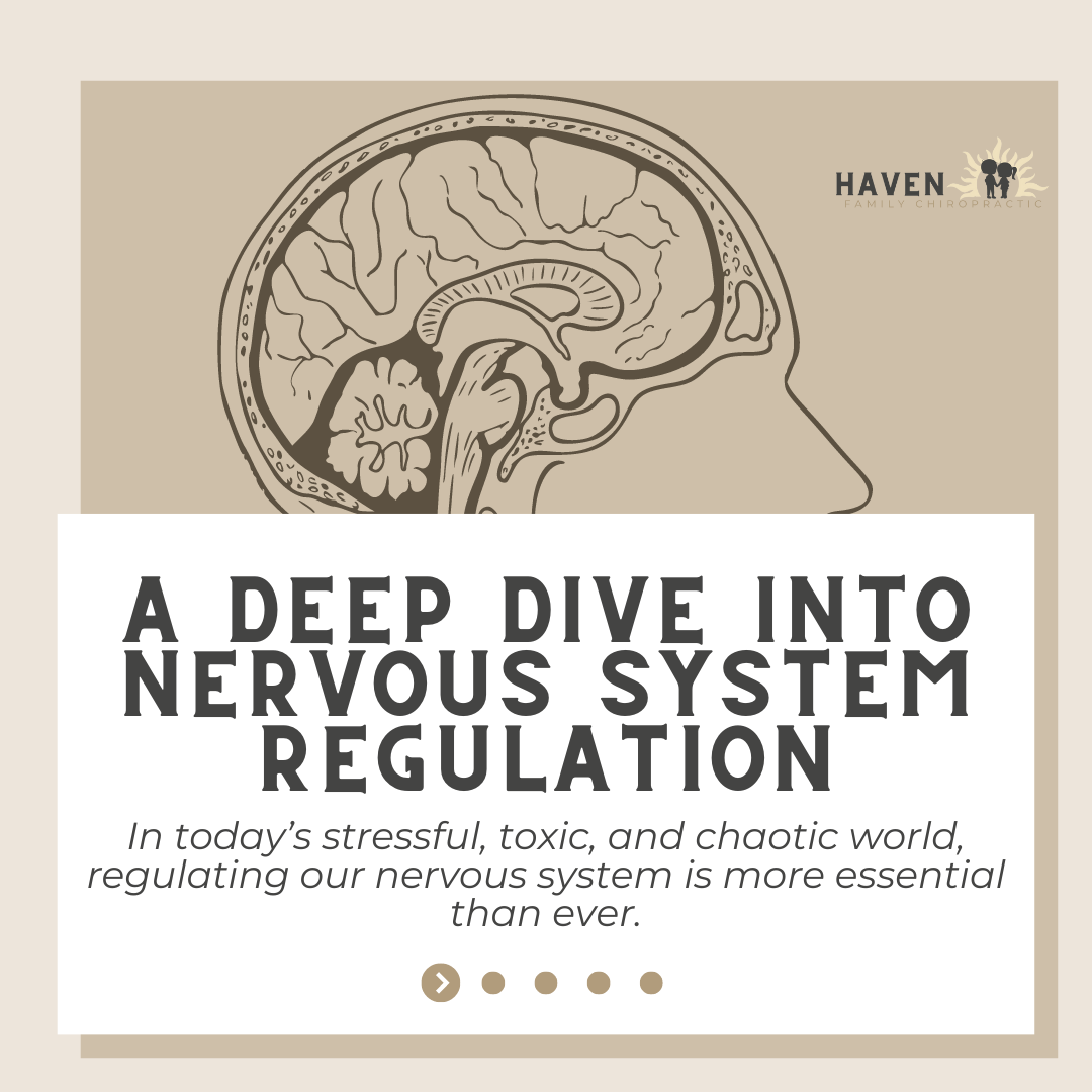 A Deep Dive Into Nervous System Regulation