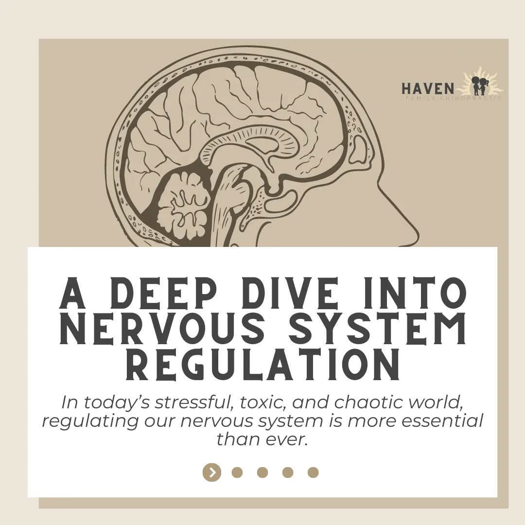 A Deep Dive Into Nervous System Regulation