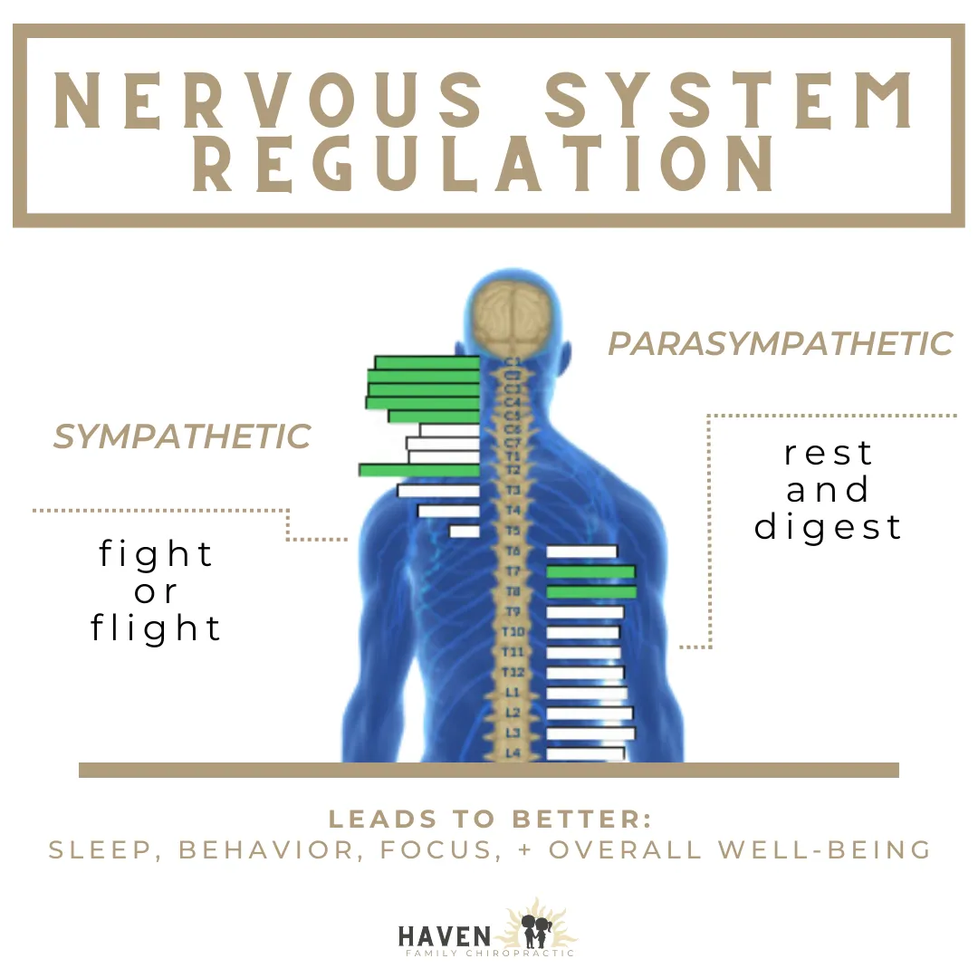 Nervous System Regulation: The Key to Optimal Health and Balance for ...
