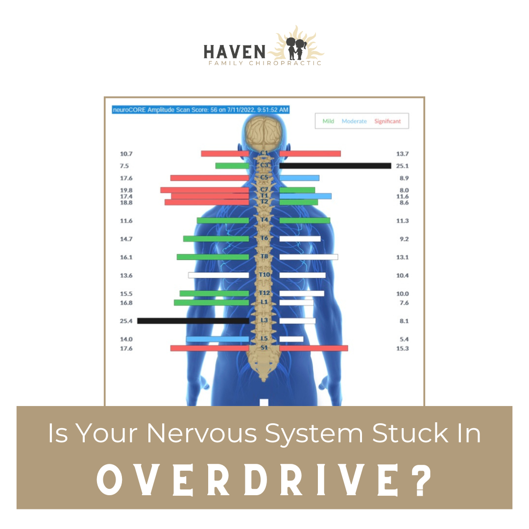 Overactive Nervous System