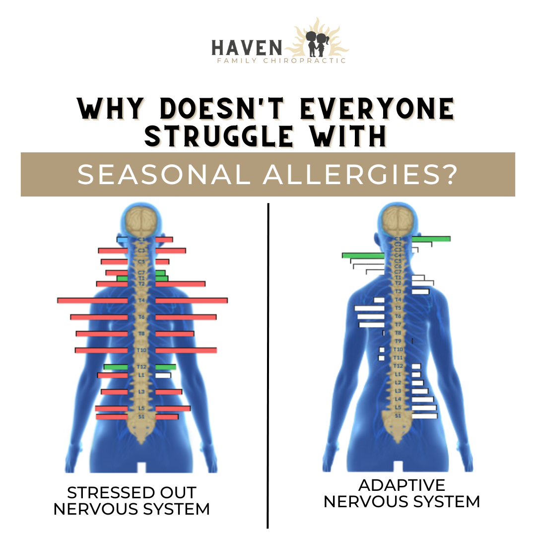 Seasonal Allergies