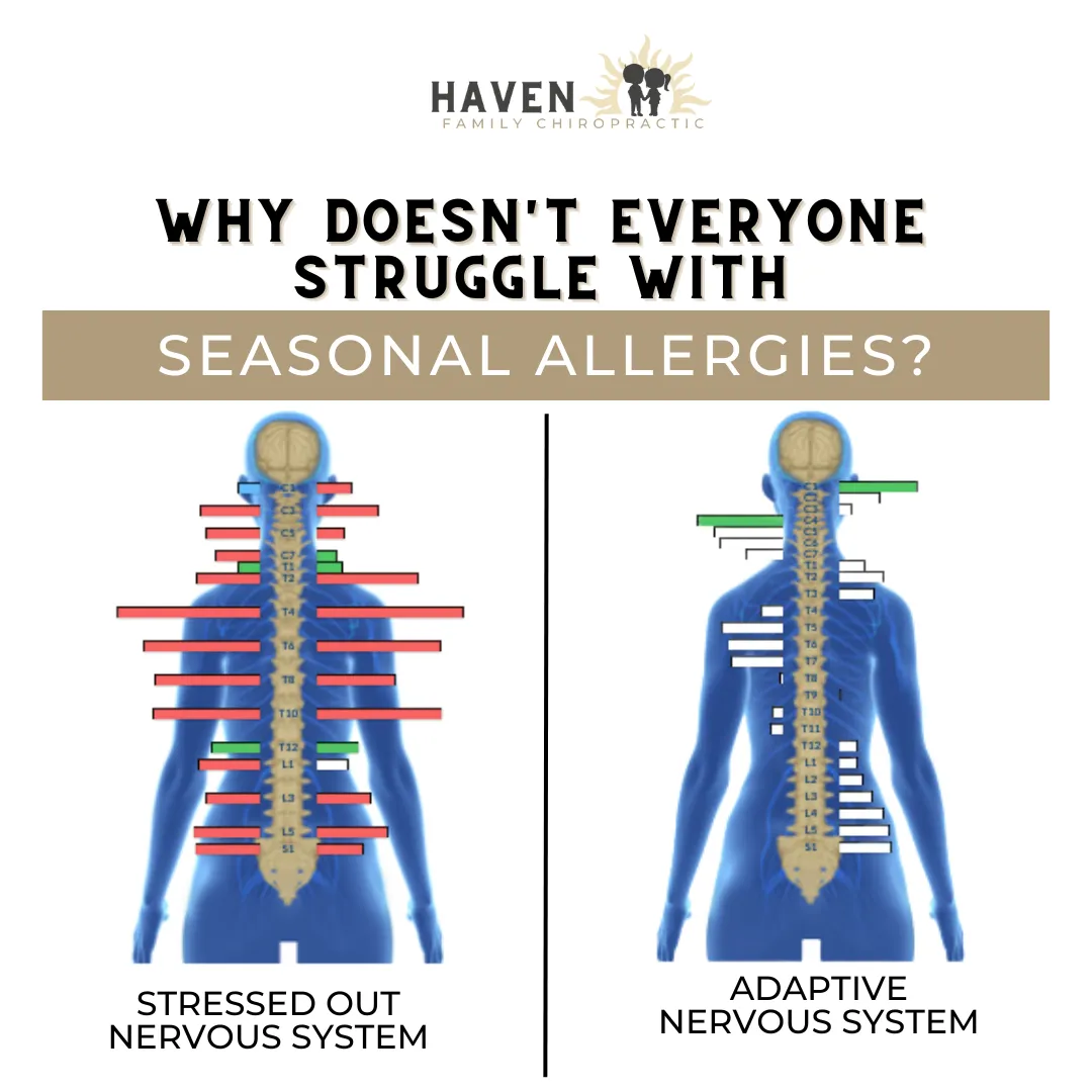 Seasonal Allergies