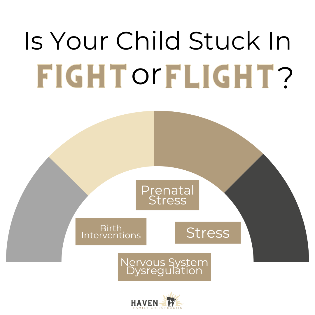 The Sympathetic Nervous System: Navigating the Body’s Stress Response