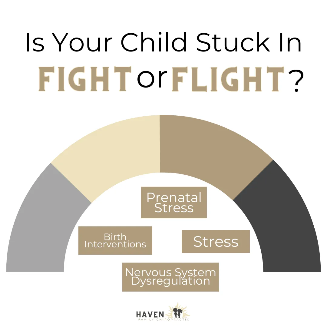 The Sympathetic Nervous System: Navigating the Body’s Stress Response