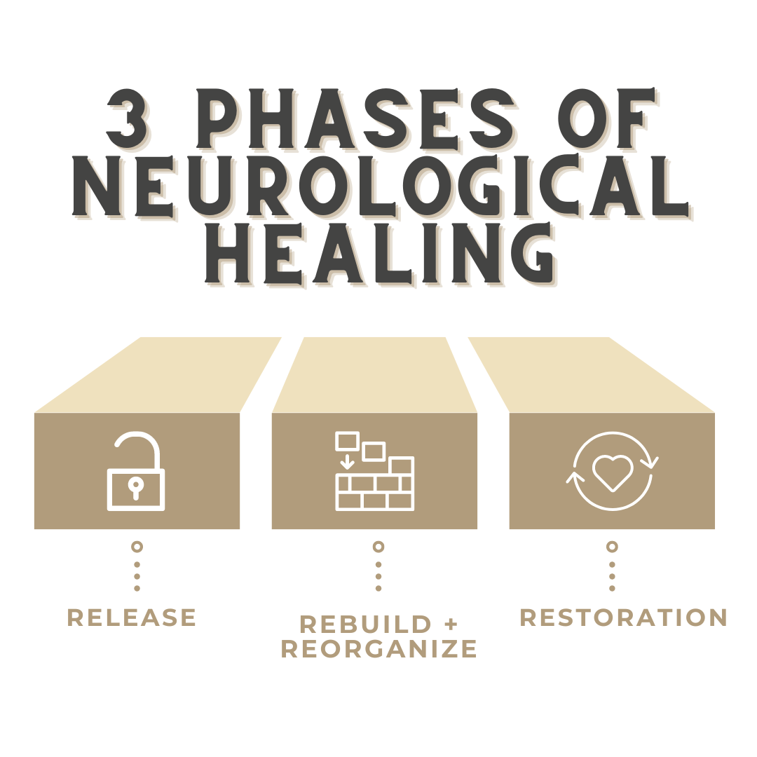 The Roadmap to Neurological Healing: The 3 Phases of Restoration