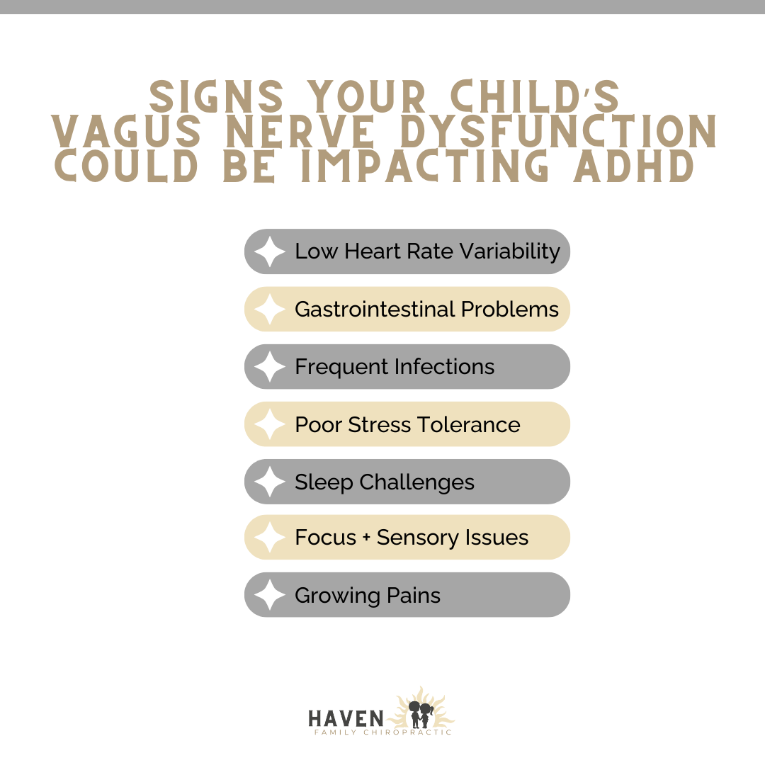 A Look At the Vagus Nerve and ADHD