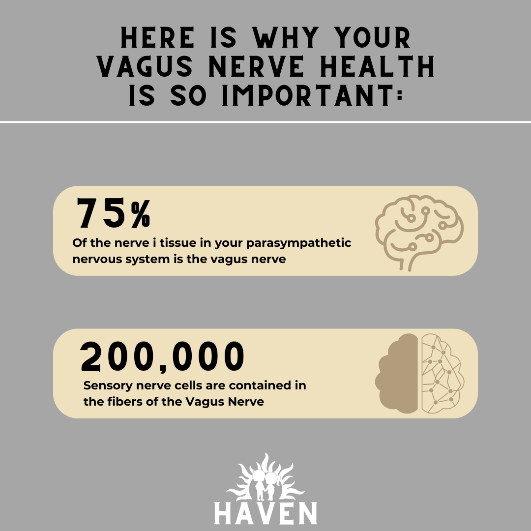 Vagus Nerve Disorders