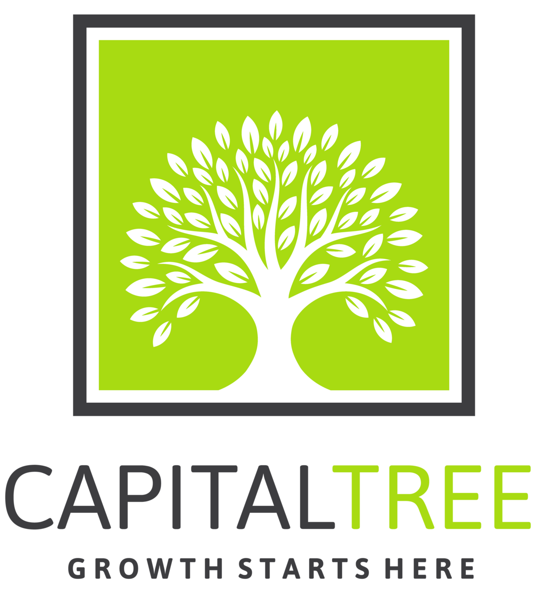 Capital Tree Personal Business Credit Repair Funding Get Approved