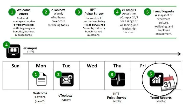 HPT Pulse Q&A | What is the High Performance Teams Pulse?