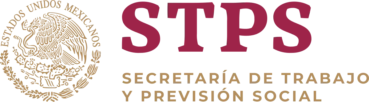 Asesoria STPS Instructores