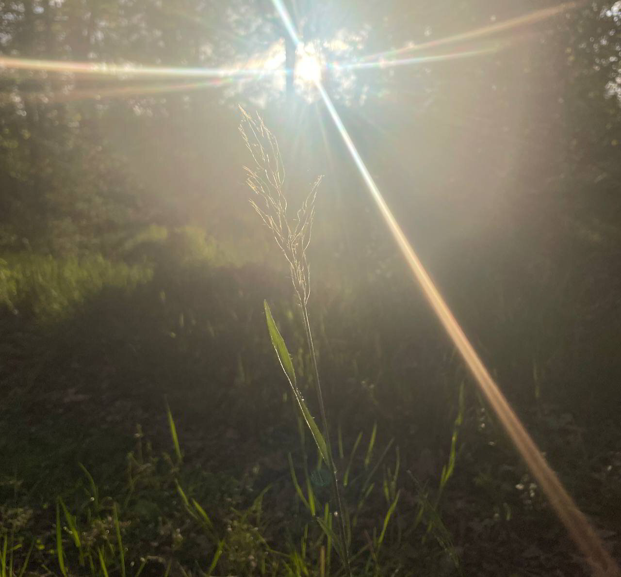 Home [wakkereburgers.be]