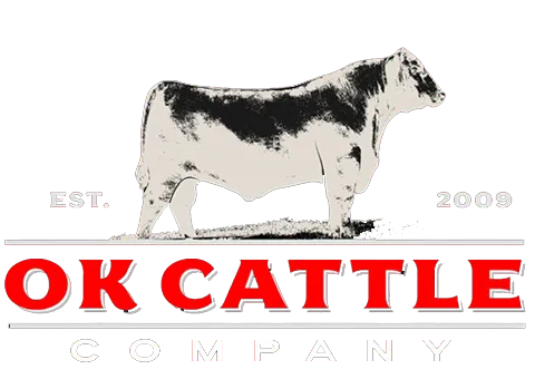 OK Cattle CO. Beef Jerky Made with 100% All Natural Premium Beef