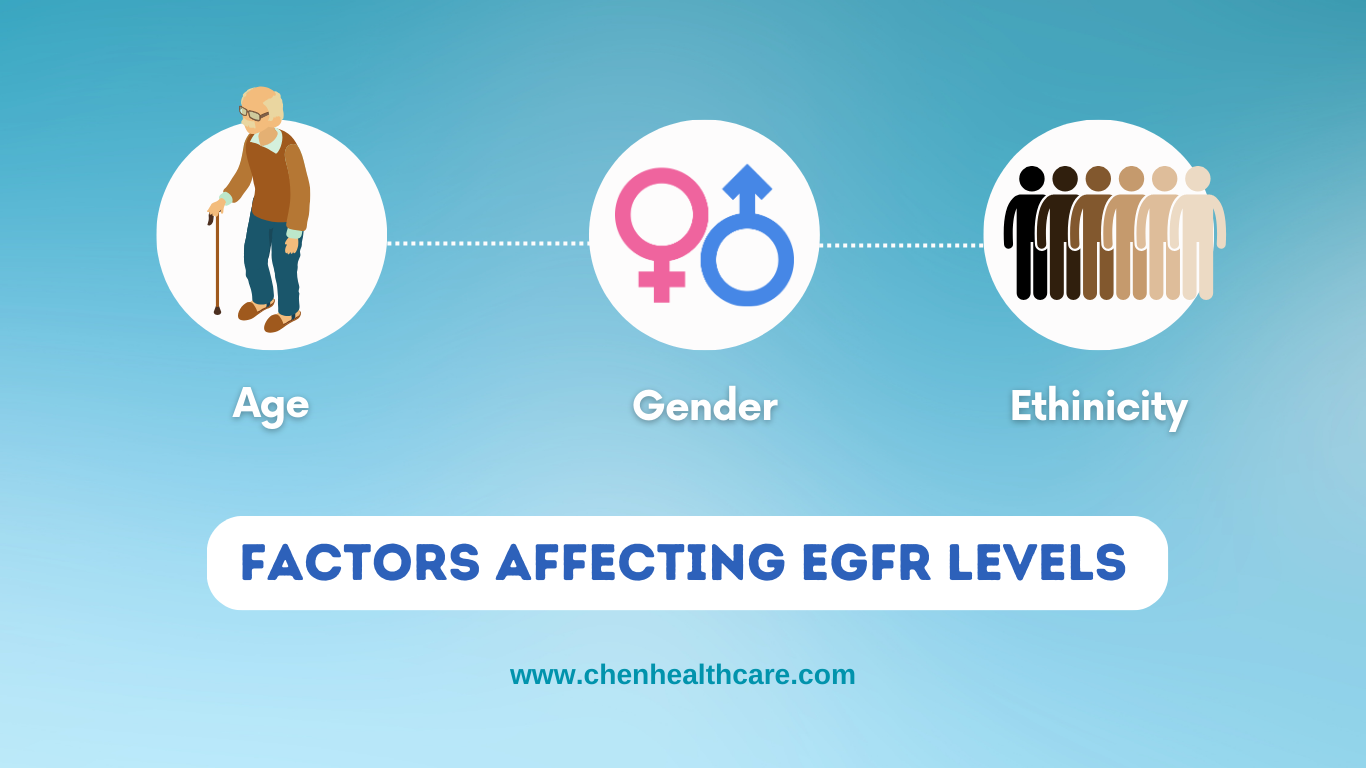 Understanding eGFR for CKD Patients: What Your Numbers Mean