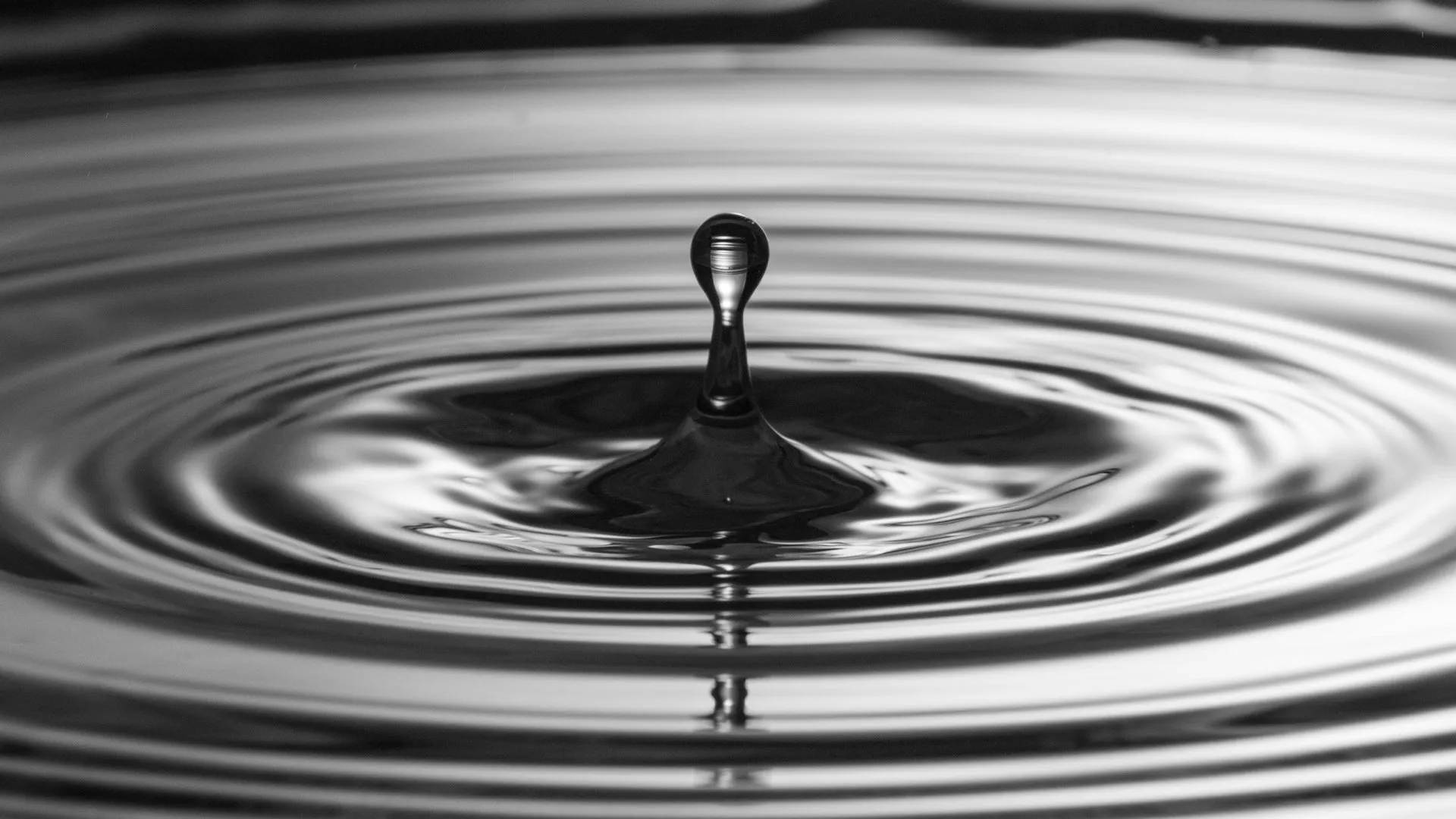 Dallas Ad Agency | Carmichael Consulting, TX