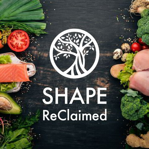 SHAPE ReClaimed - Support from Chronic Inflammation and Autoimmune