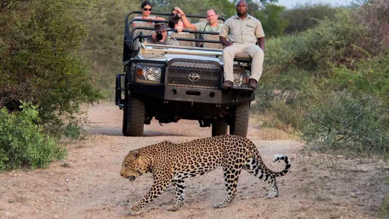 Kapama Karula, Kapama Private Game Reserve