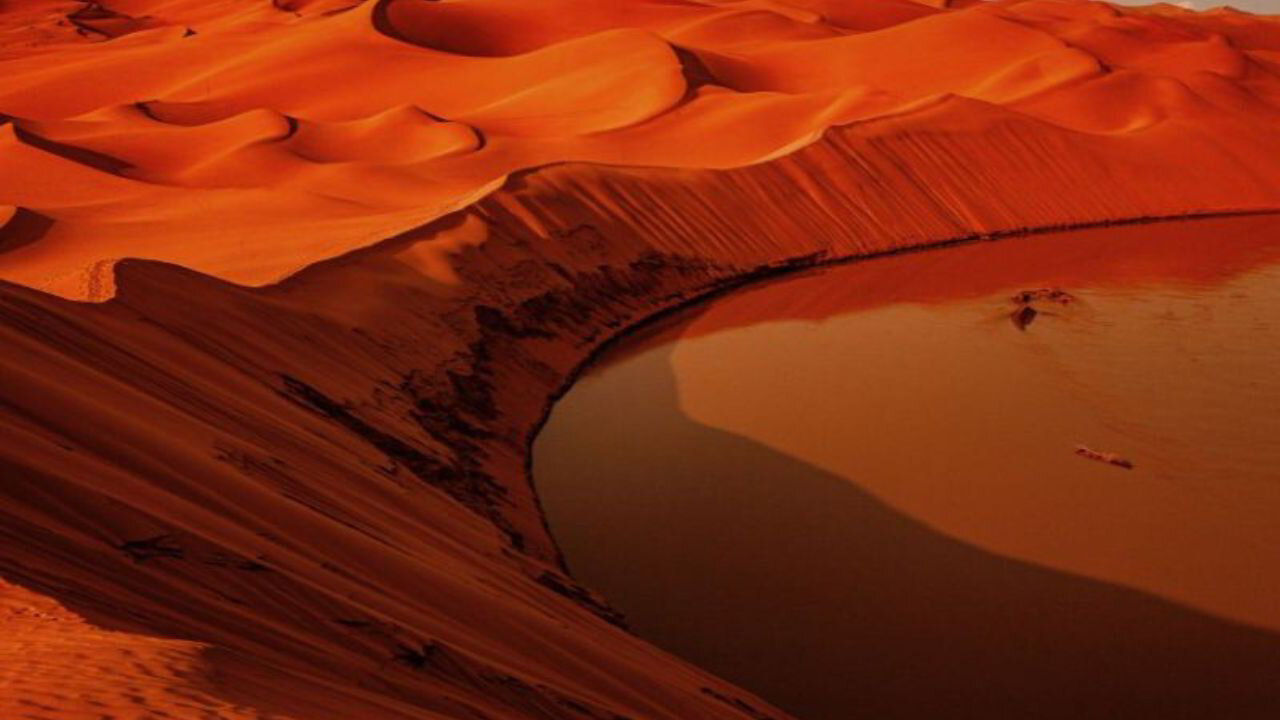 Namibia vs Botswana Safari: Which Is Best?