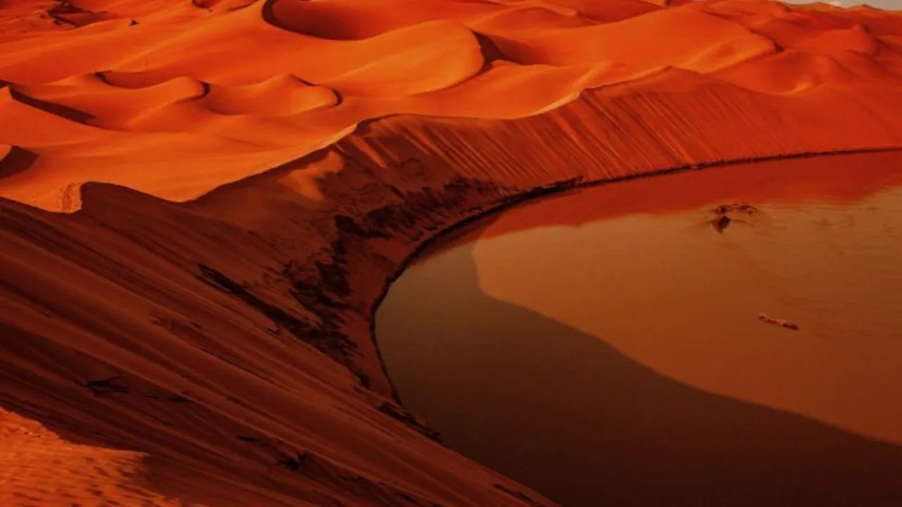 Namibia vs Botswana Safari: Which Is Best?