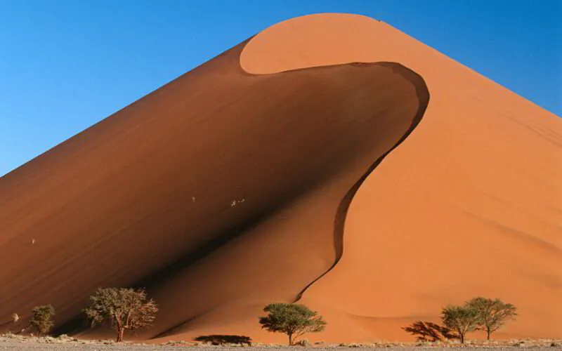 Namibia vs Botswana Safari: Which Is Best?