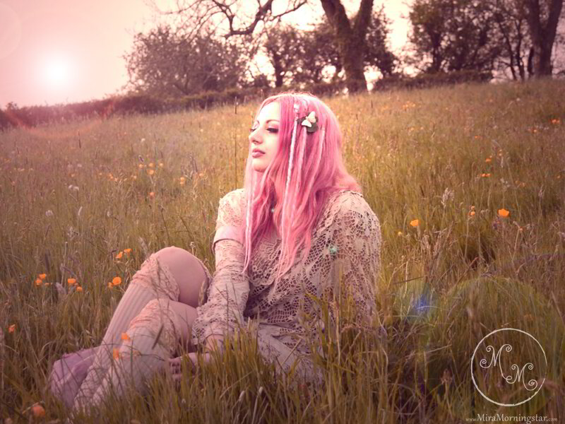 Meadow Walk in Avalon