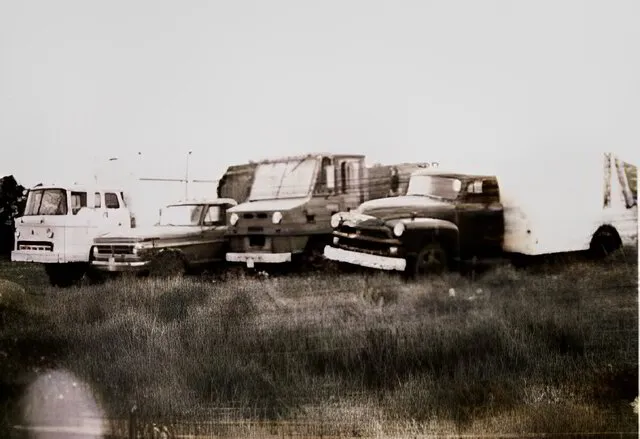 DBL Disposal Services: Discover Our Story and Legacy