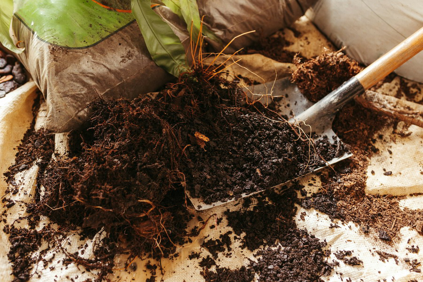 Landscape Compost Choices That Beat Coastal Wind and Salt