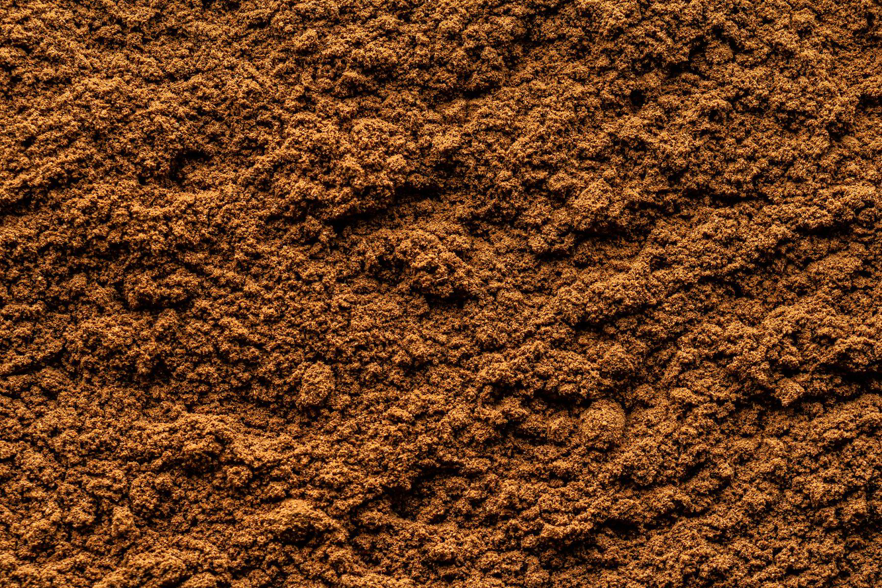 How to Tell If Your Soil Blend Suits Coastal BC Gardens