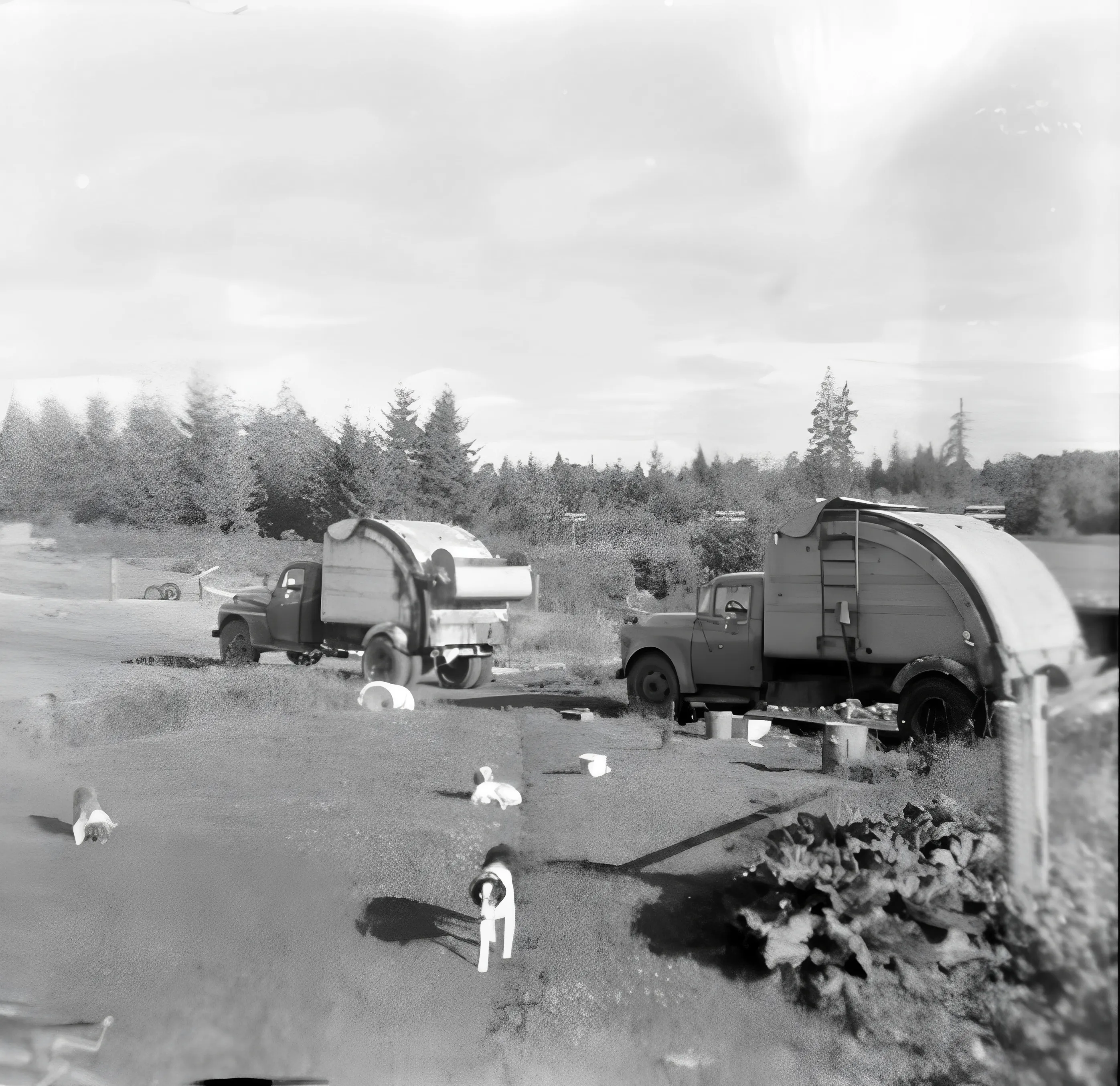 D.B.L. Disposal Services | Our History