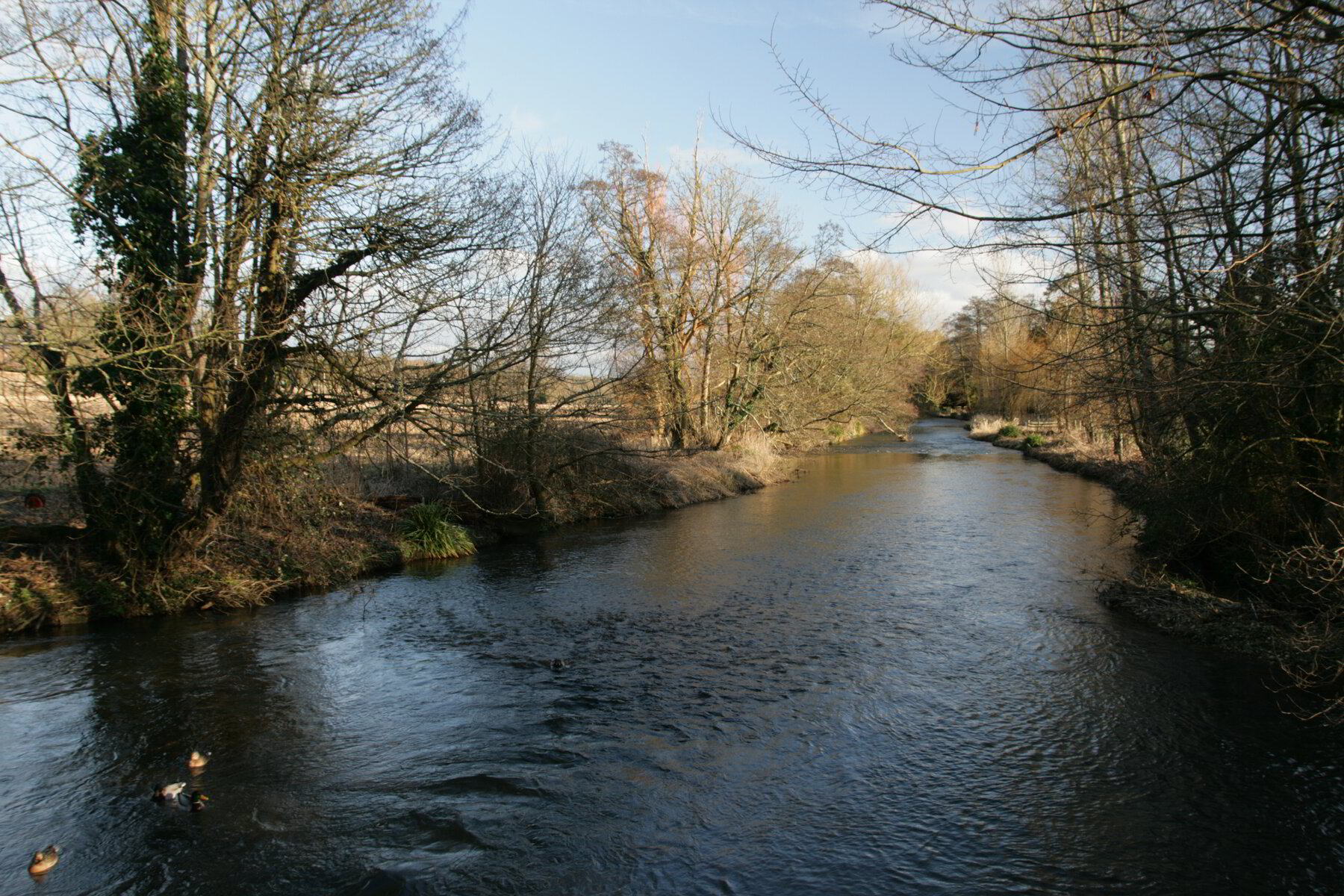 Peter Macfadyen - Friends of the River Frome