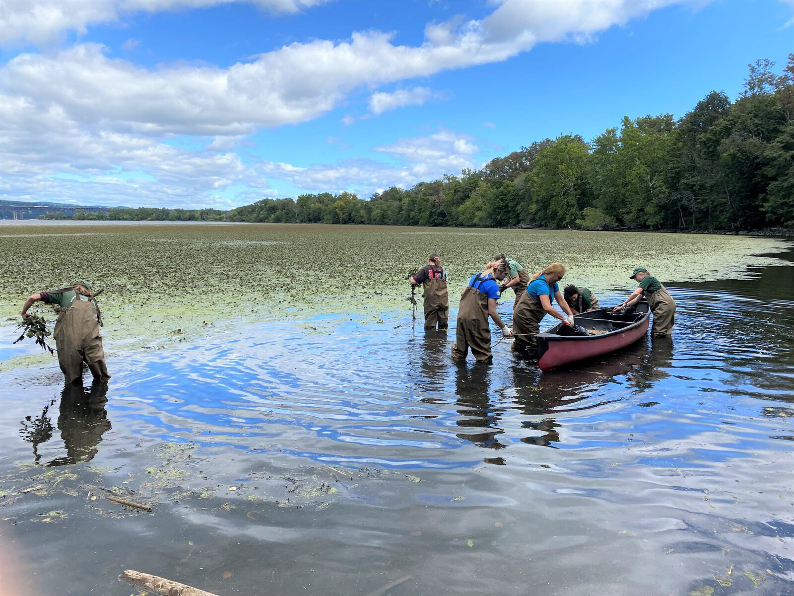 Brigette Walsh - Beacon Institute for Rivers & Estuaries