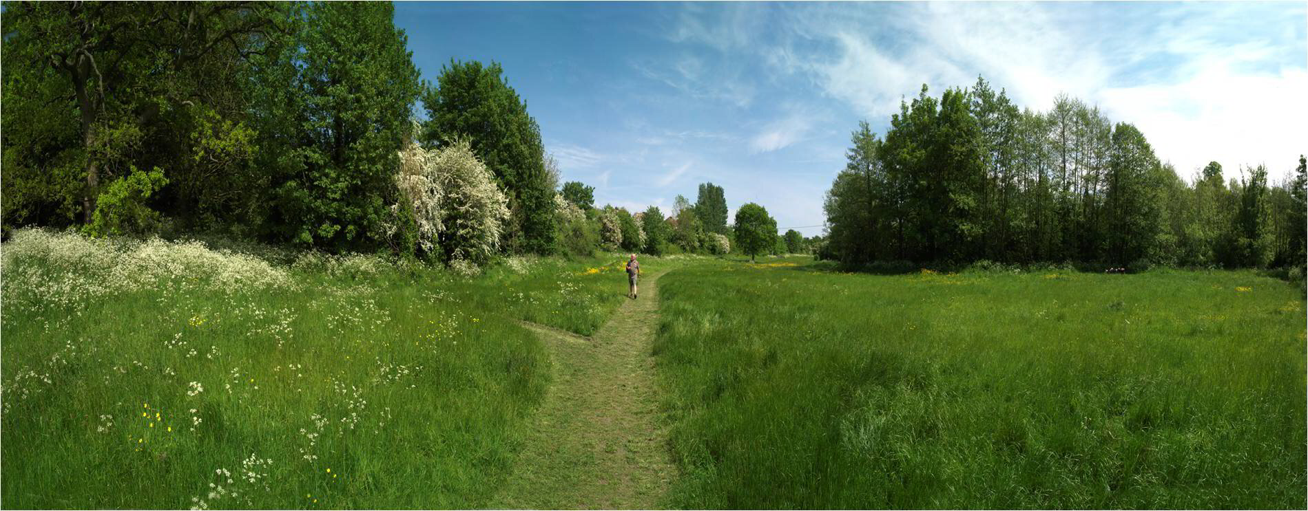 Peter Macfadyen - Friends of the River Frome