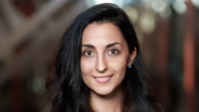 Newton Venture Program: For aspiring and practising venture capitalists