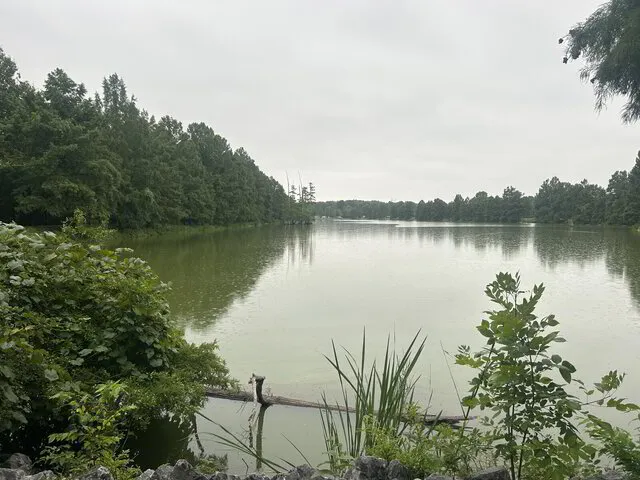 Peaceful Pines RV Park in Biloxi, MS - Your Dream Getaway