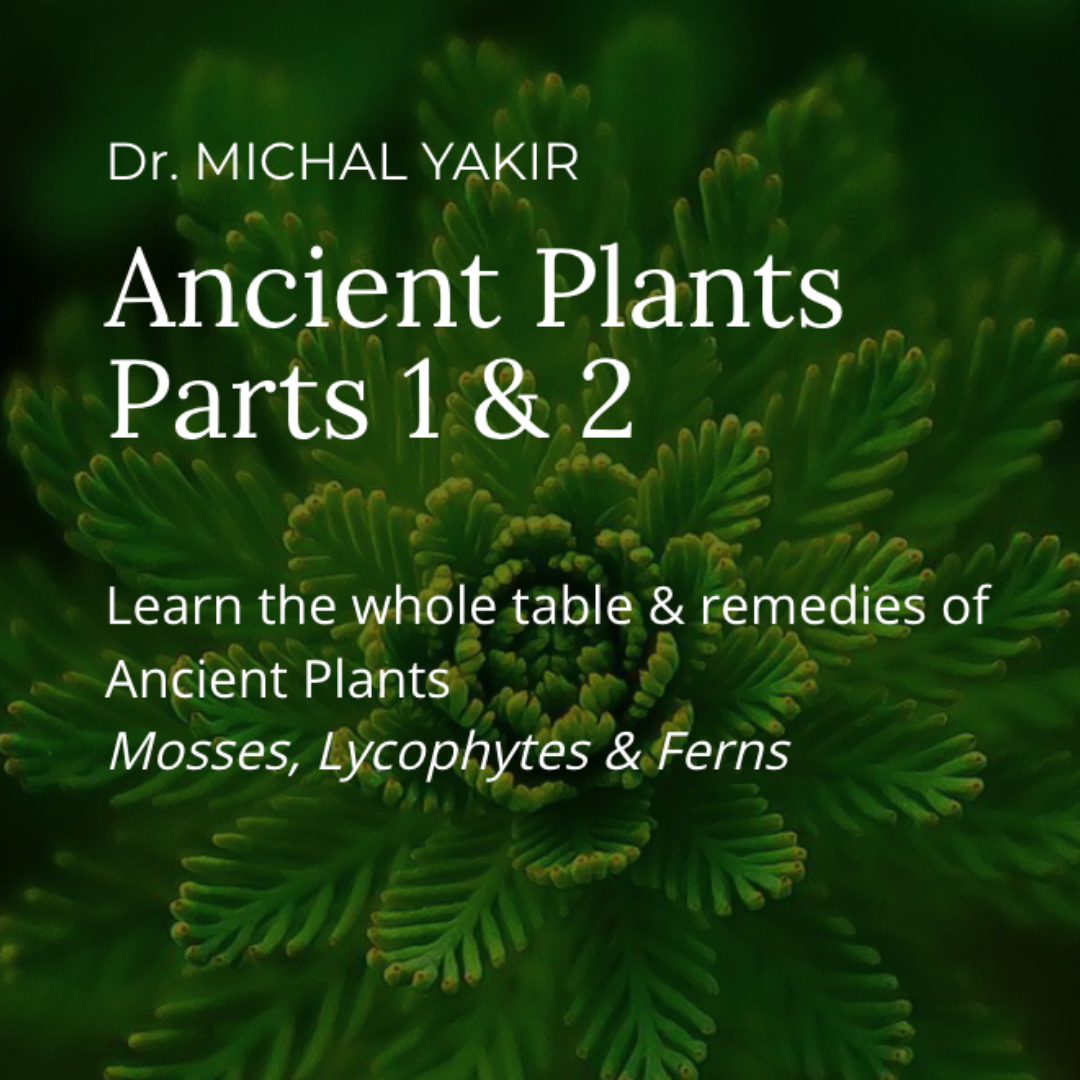 Dr. Michal Yakir's Ancient Plants - Bundle (Parts 1 and 2) | Simillimum ...