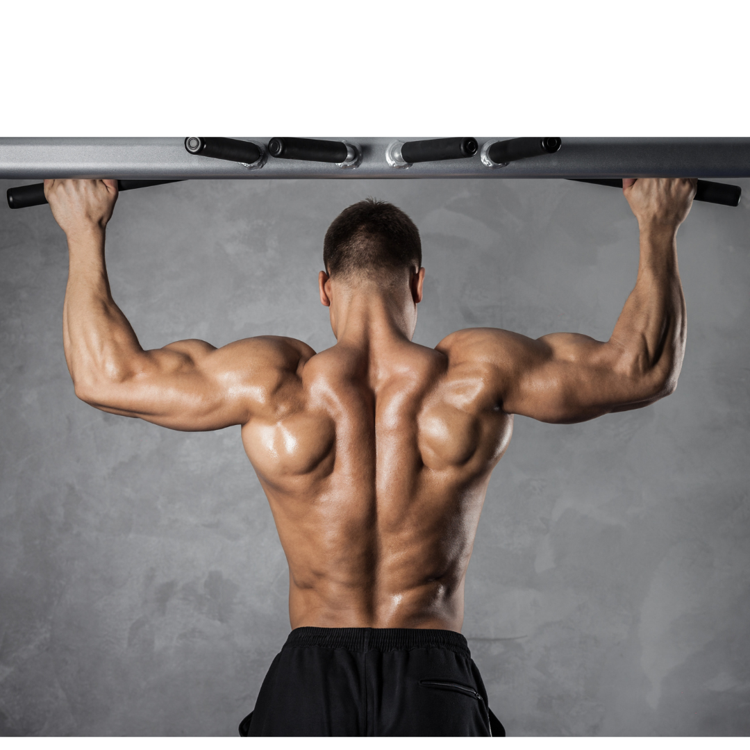 Mastering Scapular Movements: Key to Strength Training