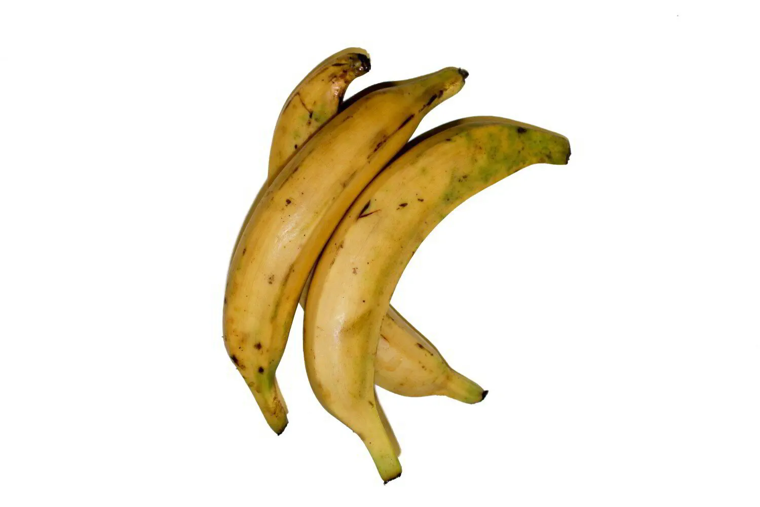 Ripe Plantain Turbana Each